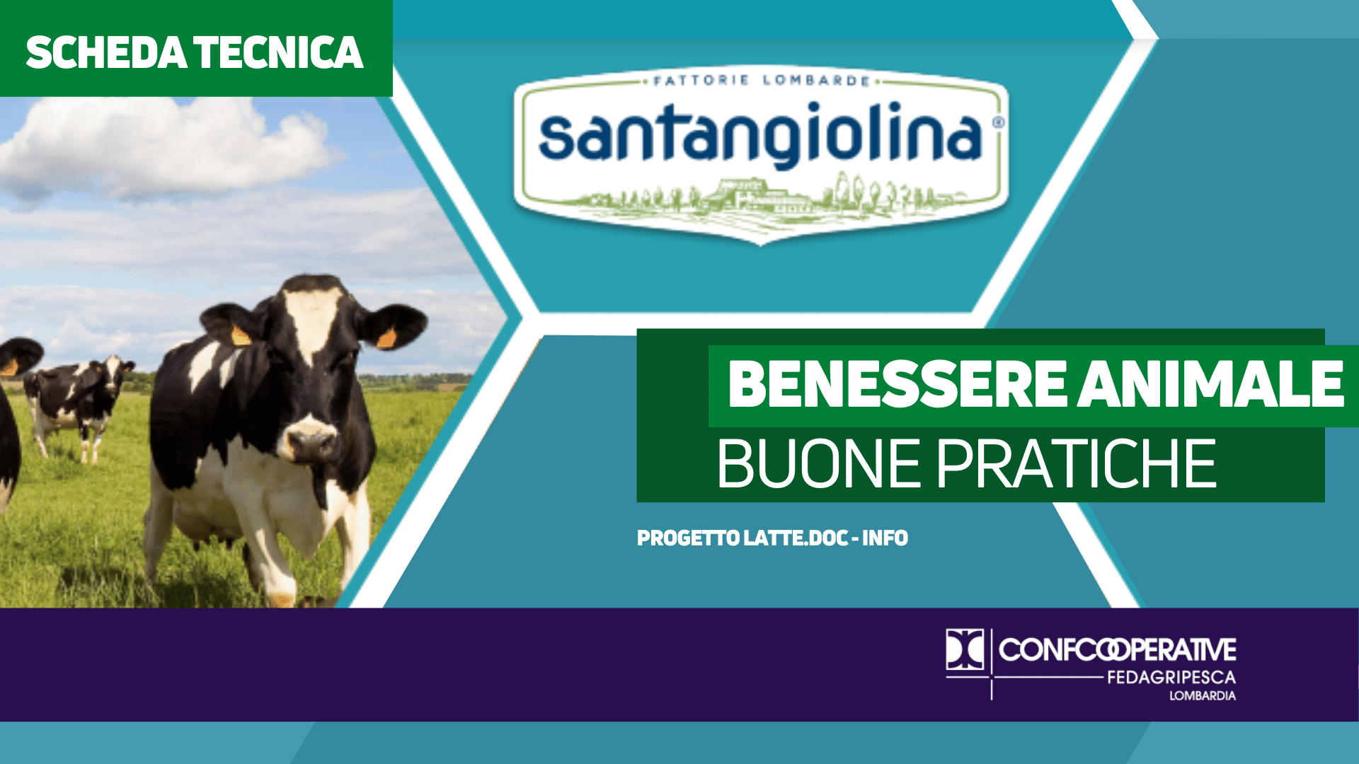 Best practice aziendali, come migliorare il benessere animale in stalla ...