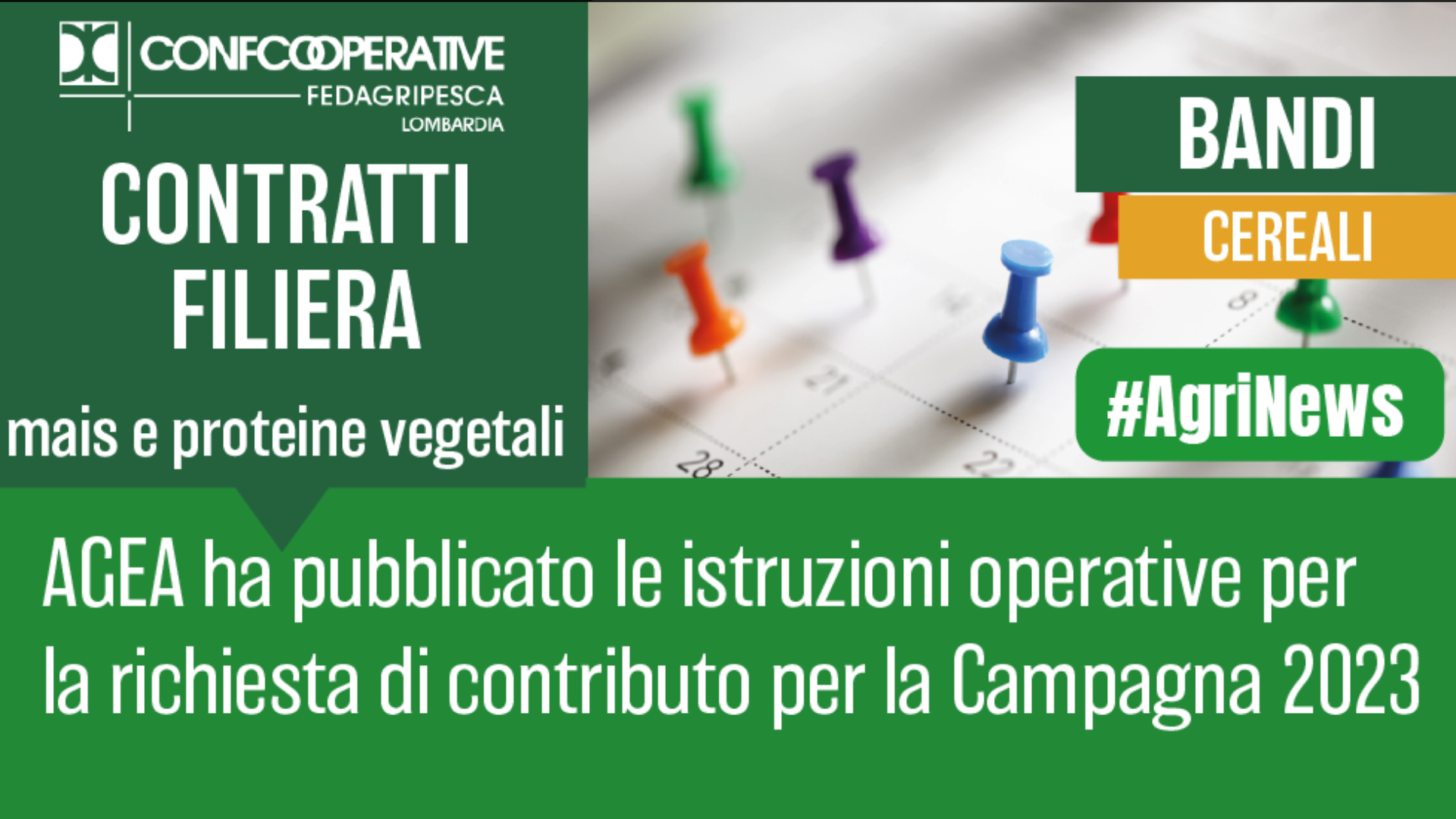 Da AGEA istruzioni operative per contratti filiera per mais e proteine vegetali per il 2023 ...