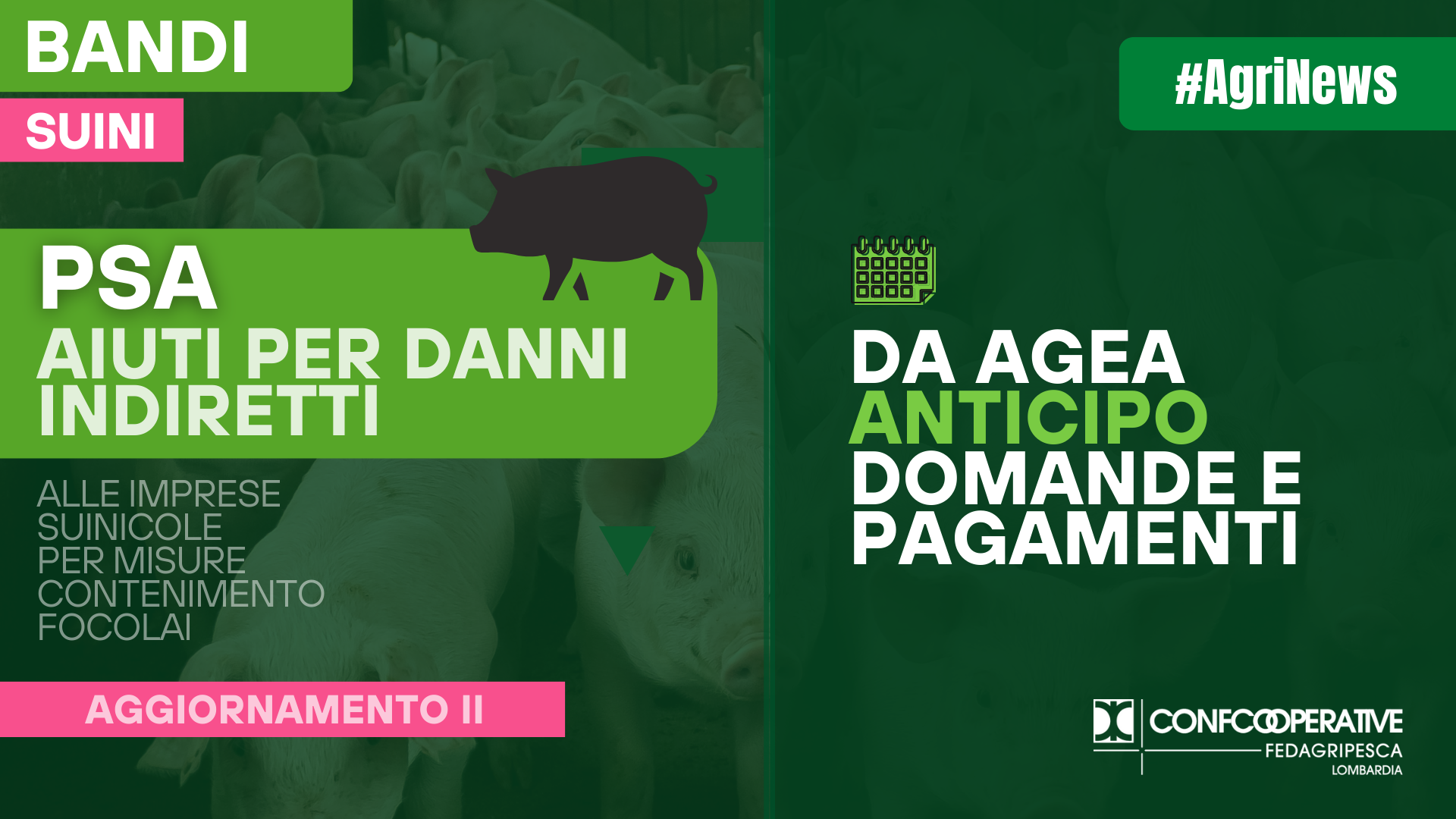 Peste suina, AGEA accelera sugli aiuti agricoli. Anticipo domande e pagamenti - Confcooperative ...